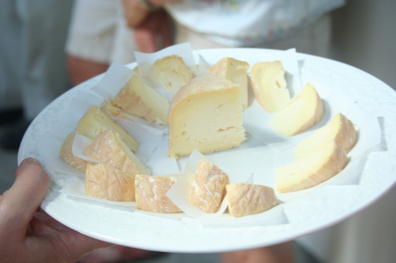 Cheesy – Helen's Loom